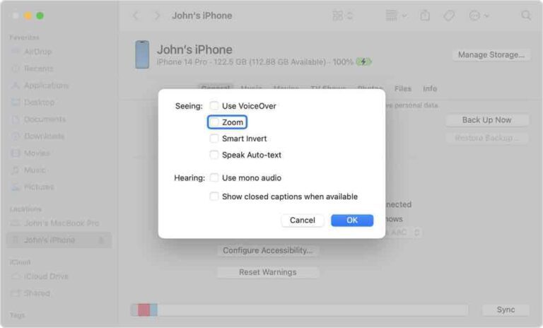如何关闭 iPhone 上的缩放功能（放大镜） - Eksrr.com