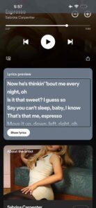 如何在 iPhone、iPad 和 Mac 上查看 Spotify 歌词 - Eksrr.com